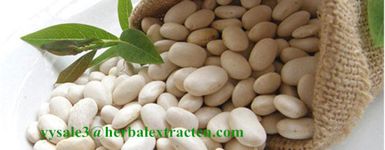 White Kidney Bean Extract, 화이트 신장 콩 추출물, 3000 U/g, 중국 제조 업체, weight lose, Chinese manufacturer, Shaanxi Yongyuan Bio