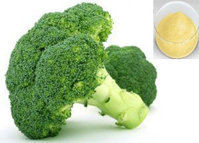 Broccoli Seed Extract Sulforaphane, брокколи, CAS No.: 142825-10-3,Sulforafan Chinese manufacturer, Shaanxi Yongyuan Bio