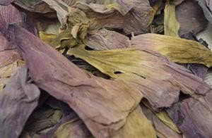 Lotus Flower Extract, Nelumbo nucifera flower Extract 10:1, TLC  Chinese manufacturer, Shaanxi Yongyuan Bio