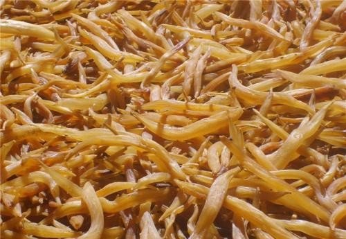 Asparagus Root Extract, 10:1 TLC. Asparagus cochinchinensis Extract, Chinese manufacturer, Shaanxi Yongyuan Bio