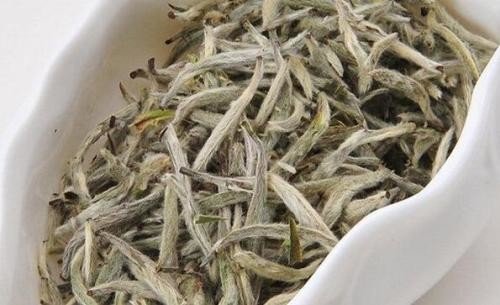 Organic White Tea Extract, Tea Polyphenol 20%-98%, Chinese manufacturer, Shaanxi Yongyuan Bio