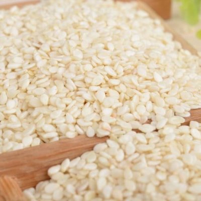 White sesame seed Extract, 10:1 TLC, Natural ingredient for pharma, cosmetic, Chinese manufacturer, Shaanxi Yongyuan Bio
