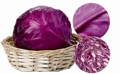 Red cabbage extract, Purple cabbage powder, 10:1 TLC, 100% Natural, Chinese manufacturer, Shaanxi Yongyuan Bio