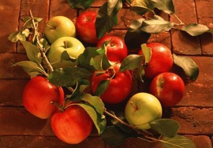 100% natural Apple Cider Vinegar Powder 5%-10%, Apple Vinegar Powder, Chinese manufacturer, Shaanxi Yongyuan Bio