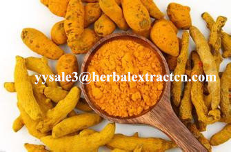 Turmeric root extract, Curcumin 95%, water soluble Curcuma longa Extract 10% Curcuminoides, Shaanxi Yognyuan Bio-Tech