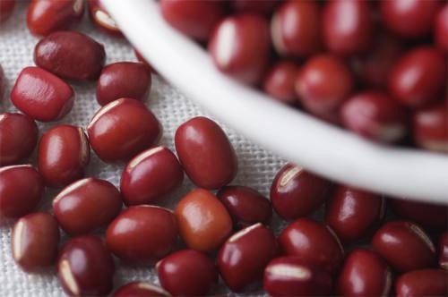 Red Bean Extract Powder, Adzuki bean Extract,10:1, 빨간 콩 추출물 분말,  high quality, manufacturer, Shaanxi Yongyuan Bio