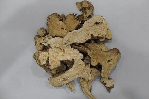 Atractylodes macrocephala Extract Powder, ビャクジュツ エキス, Chinese manufacturer, high quality, Shaanxi Yongyuan Bio
