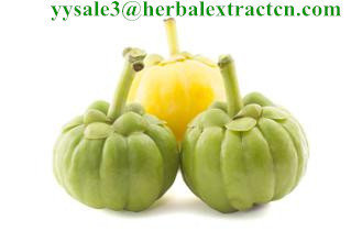Garcinia Cambogia Extract,  HCA 60%, Garcinia peel Extract, Chinese manufacturer, Shaanxi Yongyuan Bio