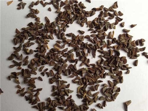Harmine 98%, Harmine HCL 98%,Peganum harmala Extract, CAS No.: 442-51-3, manufacturer, Shaanxi Yongyuan Bio-Tech