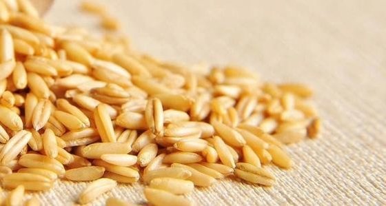 Avena Sativa Extract Beta-Glucan, 20%-70% AOAC, CAS No.: 9041-22-9, Powder and Solution, Shaanxi Yongyuan Bio
