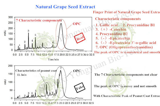 REAL Grape seed Extract OPC 95%,natural antioxidant ingredient,Vitis vinifera Extract,manufacturer, Shaanxi yongyuan Bio
