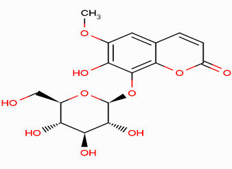 Esculin 98% HPLC,CAS No:531-75-9,Aesculin, Fraxin 98%, Fraxetin 98%, Esculetine 98%, manufacturer, Shaanxi yongyuan Bio