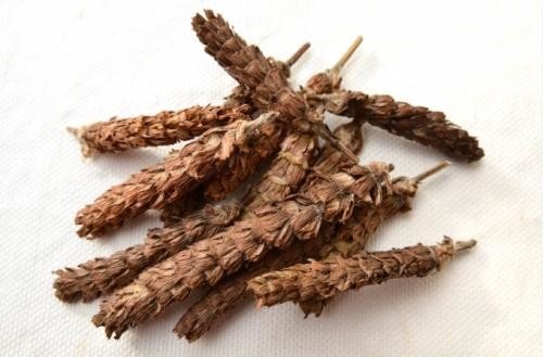 Prunella Vulgaris Extract, Selfheal Extract, 10:1 TLC, Ingredient for women health, Chinese factory supply, Yongyuan Bio