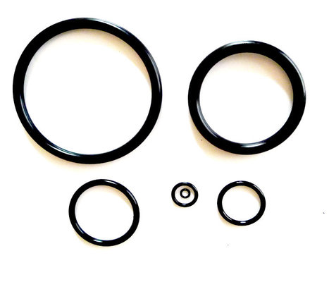 Black Viton O-Ring, AS568 Standard And Non-Standard Sizes, Silicone O-Rings For Assemble Parts / Repair Parts