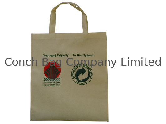 Reusable 80gsm Non Woven Shopping Bag , Green / Blue Cloth Advertising Tote