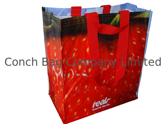 Reusable Four Handles PP Woven Bags for Shopping , Embossing Surface