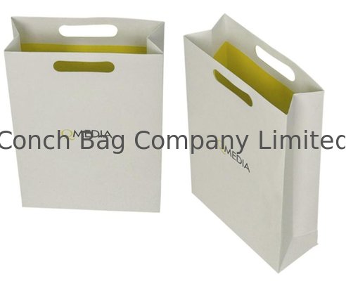 Full Color Printing Recycled Paper Bags , 200gsm Shopping Paper Bag