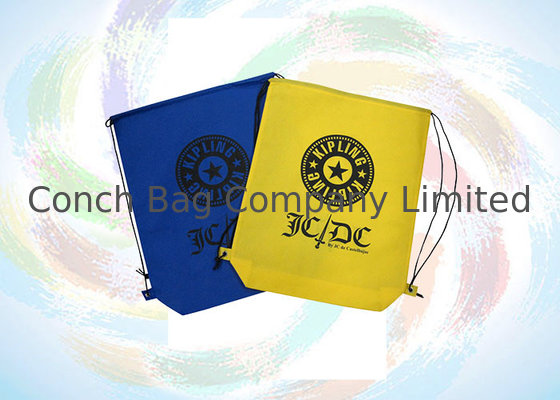 Durable Printed PP Non Woven Shopping Bag with Handles for Promotion Activities