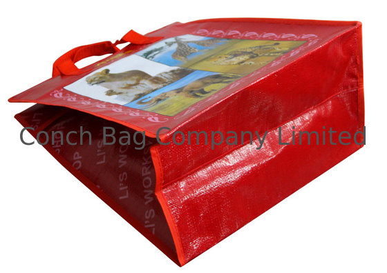 140g Swing Shining PP Zipper Shopping Bag With Nylon Tape Handle, PVC Binding