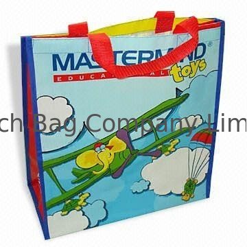 Customized PP Woven Shopping Bags With Nylon Webbing Handle reusable grocery bags