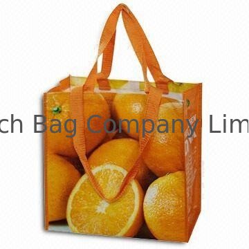 Customized PP Woven Shopping Bags With Nylon Webbing Handle reusable grocery bags