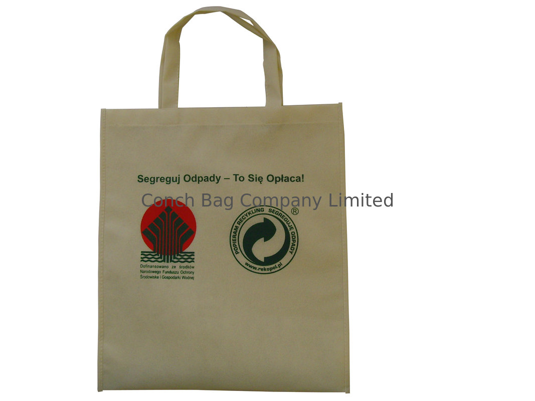 Reusable 80gsm Non Woven Shopping Bag , Green / Blue Cloth Advertising Tote
