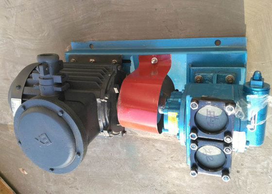 External Double Gear Oil Transfer Pump Diesel Fuel Transfer Pump Simple Structure