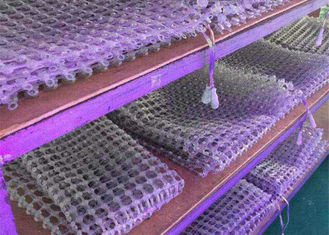 IP67 Colour Changing Outdoor DMX LED Lighting P50 LED Video Curtain