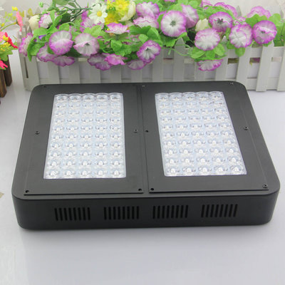 Module Led Growing Lights 300W Hydroponic Greenhouse Use 4000 - 5000lm