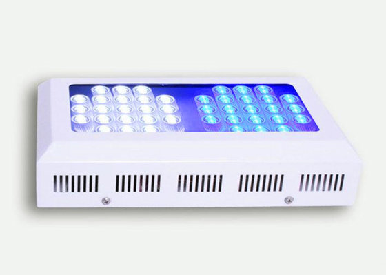 Dimmable Full Spectrum LED Aquarium Lighting For Coral Reef / Plant / Marine 42*3W
