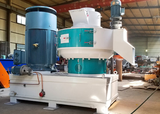 Vertical Pellet Making Machine With EN / DIN Pluse A1 Final Pellets Standard