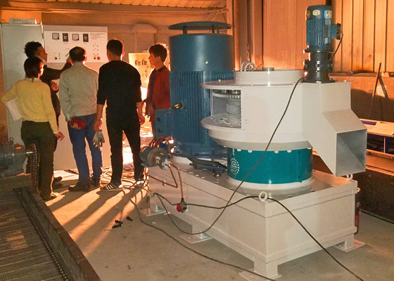 Professional High Quality 1-5t/Hr Wood Sawdust Pellet Making Machine