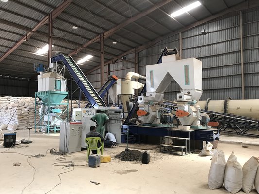 Automatic 1TPH 5TPH Wood Pellet Manufacturing Plant
