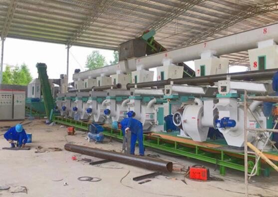 rice husk Complete 1T/Hr 10T/Hr Biomass Pellet Production Line
