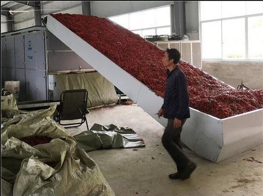 Red Chilli Pepper 10000kg/H Industrial Food Drying Machine