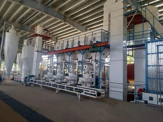 Biomass Wood Sawdust EFB 3T/H Vertical Pellet Mill