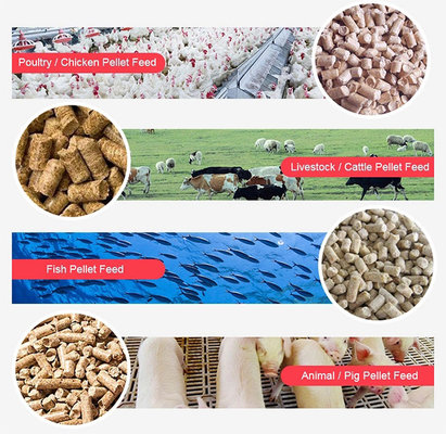 Chicken Duck Sheep Cow 3-5 T/H Feed Pellet Production Line