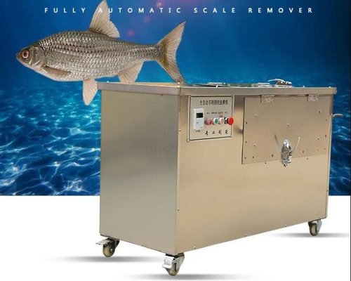 Stainless Steel Automatic Fish Descaler Machine Fish processing Machine