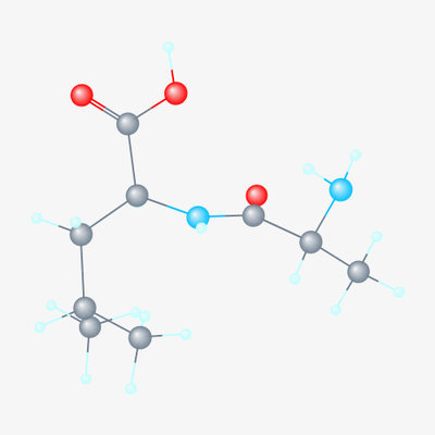 Safe DL-Alanyl-DL-Leucine Custom Peptide BCAA Dipeptide 1999-42-4