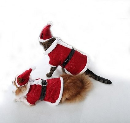 Red Christmas Dog Clothes Hoodies Winter Pet Santa Costumes Fabulous