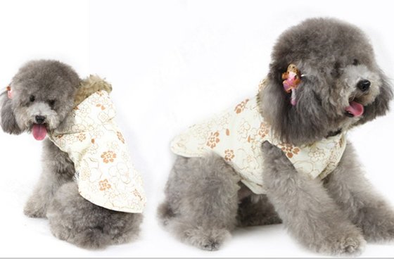 Eco-Friendly winter medium dog clothes with cotton size XS for Yorkie , Chihuhua