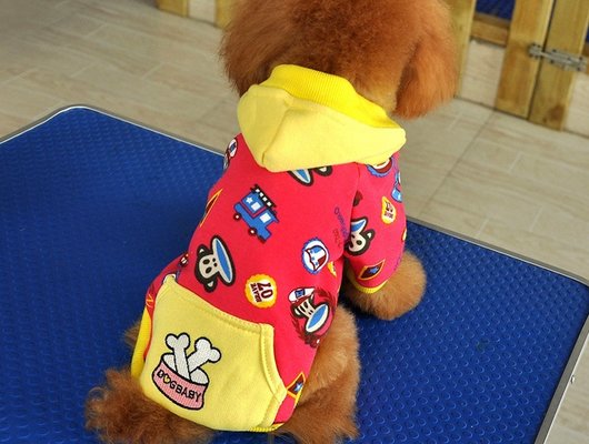 Bichon Frise small dog apparel Hooded Sweatshirts clothes for pets customized