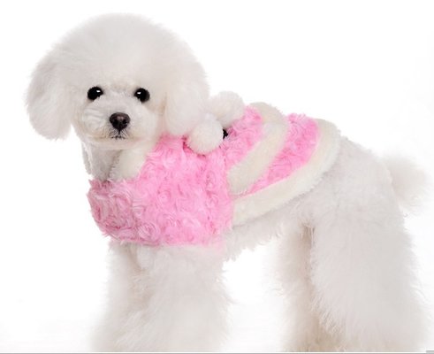 Berber fleece medium dog clothes Coat / poodle clothing M / L / XL Size