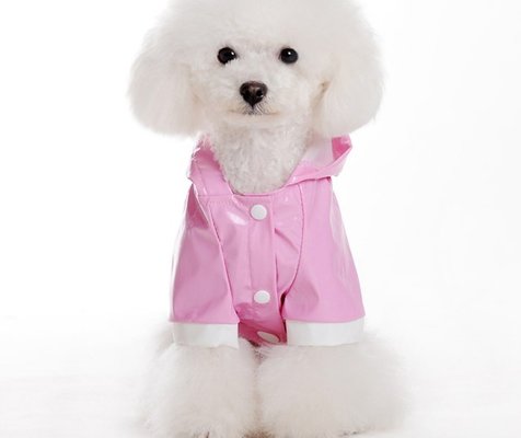 Waterproof medium pet clothes reflective dog coats for Letter and Cartoon Pattern