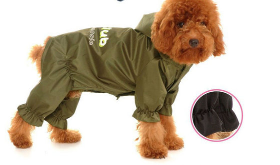 Green Waterproof Europe Style Dog Raincoats For Small Dogs Pet Clothing