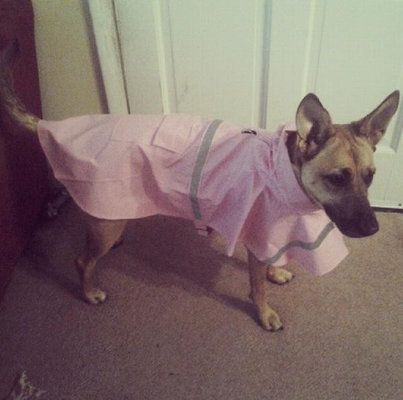 Pink Medium , XXL Dog raincoat with hood for small dogs Nylon dog coat