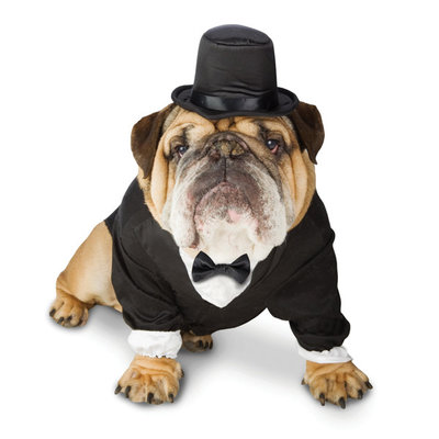 Pet Zelda Tuxedo Halloween Dog Formal Dresses Costume 100% Polyester