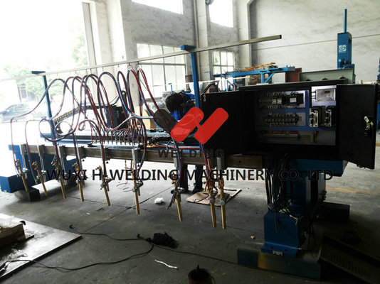 Double Drive CNC Flame Plasma Cutting Machine Aluminum With Nine Strip Cutting Torches