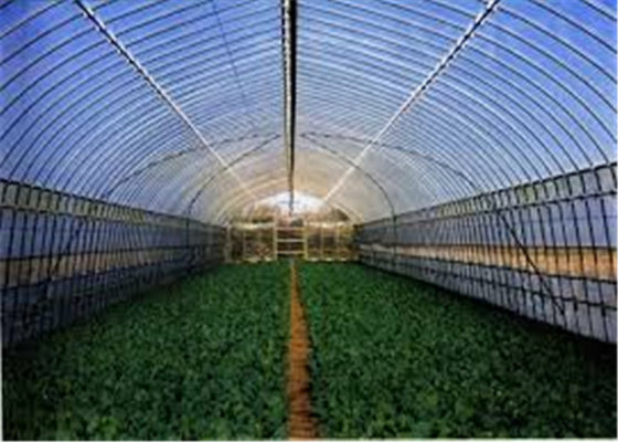 1-11m LDPE Plastic Greenhouse Film For Vegetables And Fruits Planting