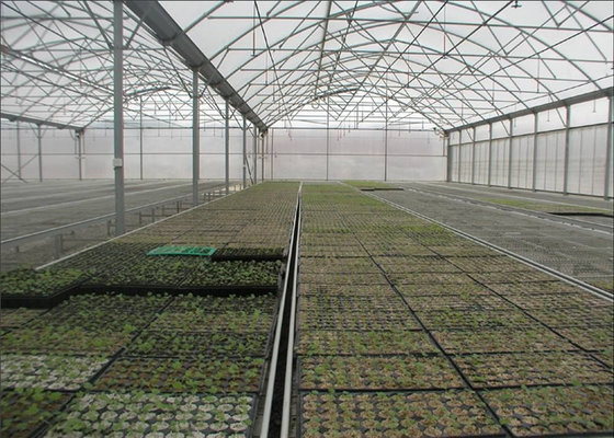 Greenhouse Coverings Polyethylene Film UVA Diffused 0.06mm-0.14mm Thickness
